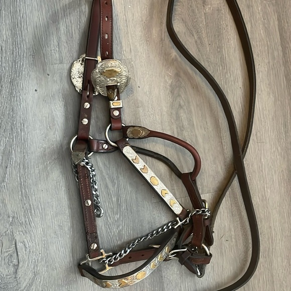 Other | Showmanship Halter And Lead Rope | Poshmark
